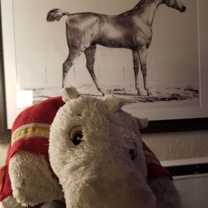 OCEANPOINT RANCH - 345 Photos & 280 Reviews - 7200 Moonstone Beach Dr ...