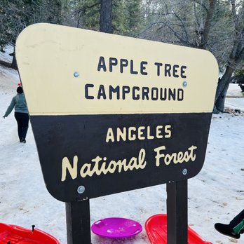 APPLE TREE CAMPGROUND - Updated April 2025 - 22 Photos - Wrightwood ...