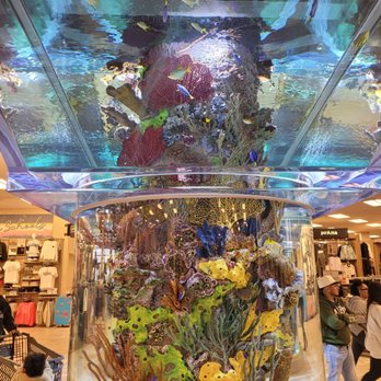 SCHEELS - Updated October 2025 - 136 Photos & 28 Reviews - 6929 S ...