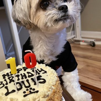 LE MARCEL BAKERY FOR DOGS - Updated September 2024 - 260 Photos & 161 ...