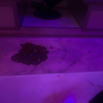 KRUSH RESTAURANT AND BAR - Updated February 2025 - 53 Photos & 50 Reviews - 3183 Main St, East ...