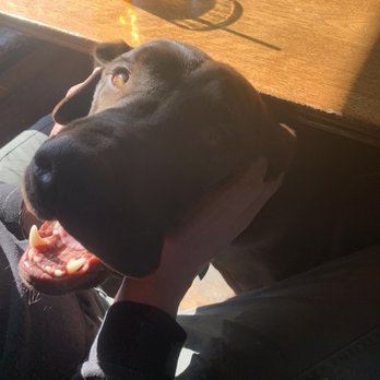 DOUGHERTY’S NEIGHBORHOOD PUB - Updated December 2025 - 30 Photos & 174 ...