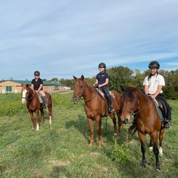 Best Horseback Riding Stables Near Me - May 2025: Find Nearby Horseback ...