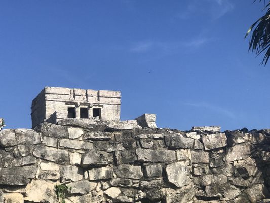 TULUM TRADE CENTER - Updated August 2024 - 12 Photos - Sm9 Mz1 L3 ...