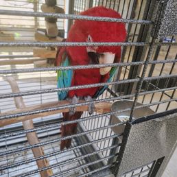 MAGNOLIA BIRD FARM - Updated January 2026 - 156 Photos & 211 Reviews ...