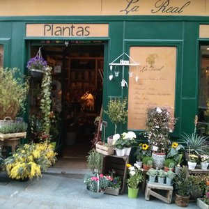 ISTAR - Updated April 2025 - Calle del Espíritu Santo, Pirkanmaa ...