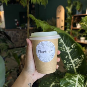 PLANTOEM - Updated October 2024 - 495 Photos & 105 Reviews - 3457 ...