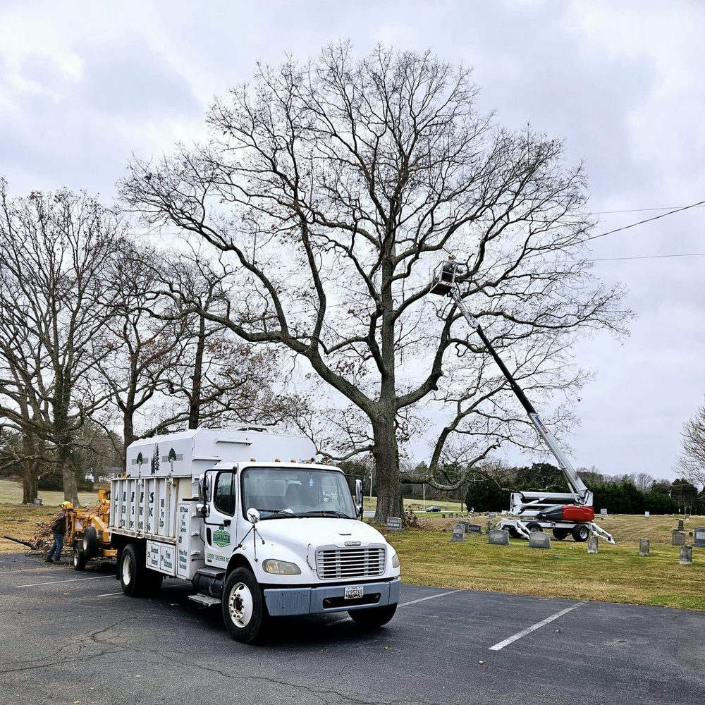 JEFF’S TREE SERVICE - Updated June 2026 - 36 Photos & 27 Reviews ...