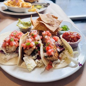 TOO COOL CAFE - Updated 2024 - 523 Photos & 579 Reviews - 2051 S ...