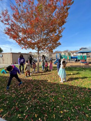 THE LEARNING TREE - Updated January 2026 - 134 Photos & 28 Reviews ...