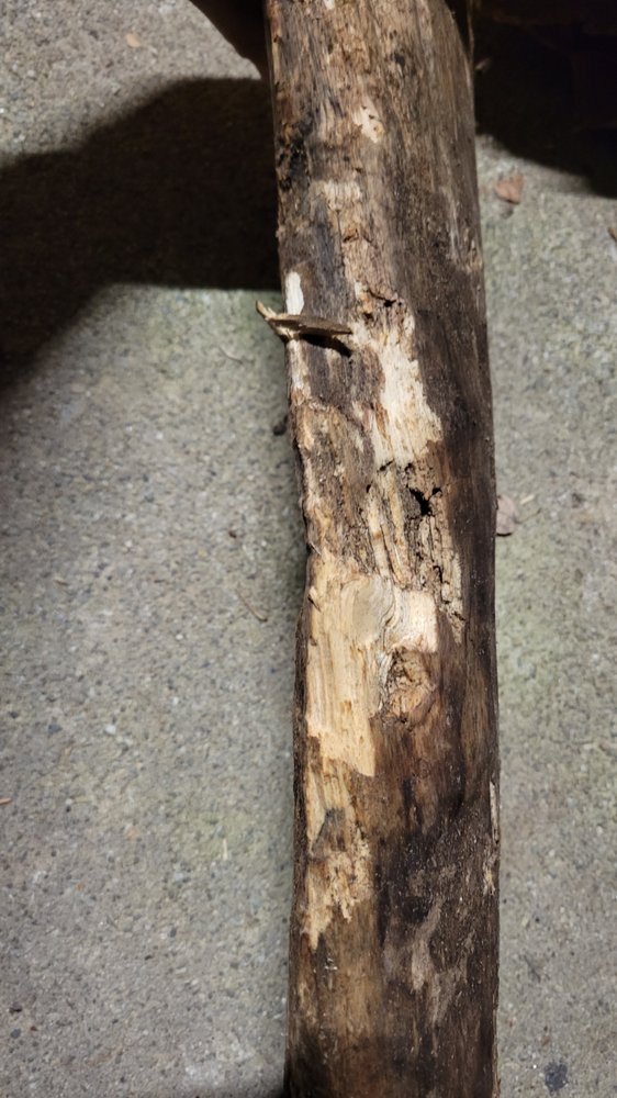 VITO’S TREE CARE & LANDSCAPING - Updated December 2025 - South ...