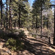 GALENA CREEK REGIONAL PARK - 151 Photos & 31 Reviews - Parks - 18250 ...