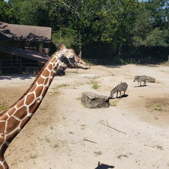 MESKER PARK ZOO & BOTANIC GARDEN - Updated October 2025 - 255 Photos & 43 Reviews - 1545 Mesker ...