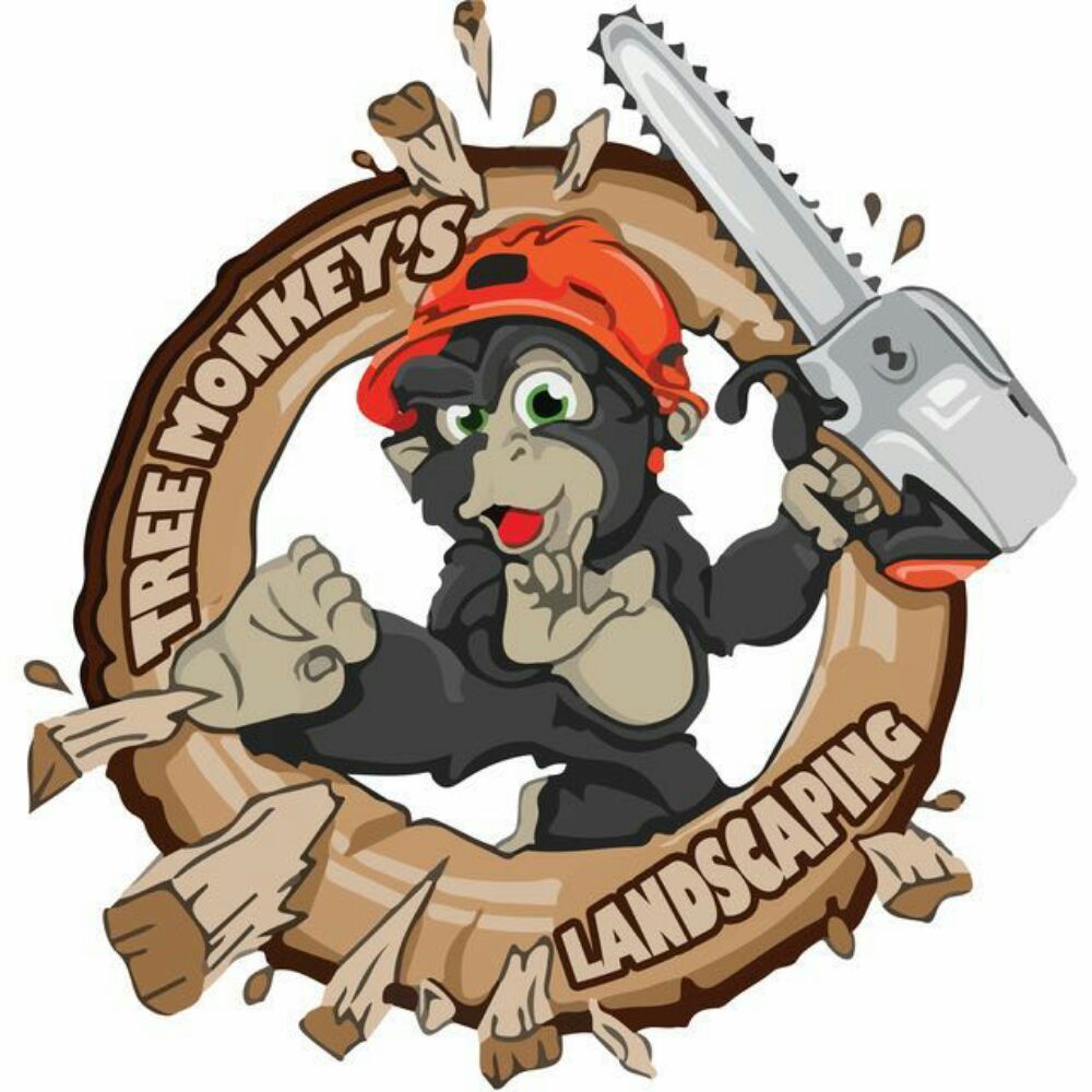 JOE TREE SERVICE - Updated September 2025 - 34 Photos & 19 Reviews ...