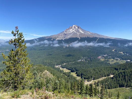 Mt Hood Adventure Park Updated August 2024 72 Photos And 77 Reviews 87000 E Hwy 26