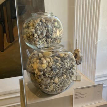 INTERNATIONAL MUSEUM OF SURGICAL SCIENCE - Updated December 2025 - 649 ...