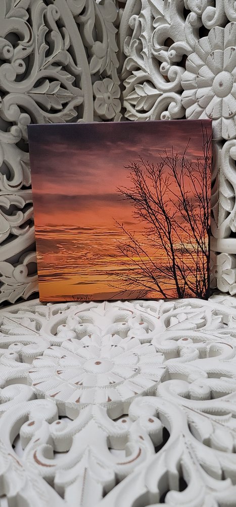 J NORTH - Updated August 2024 - 22 Photos - 4030 Wake Forest Rd ...