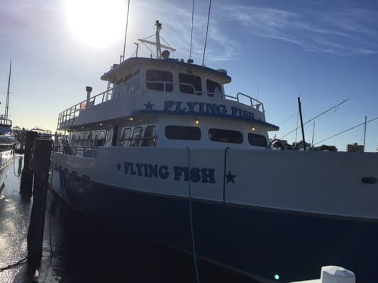 FLYING FISH FLEET DEEP SEA FISHING - 30 Reviews - Marina Jack, Sarasota ...