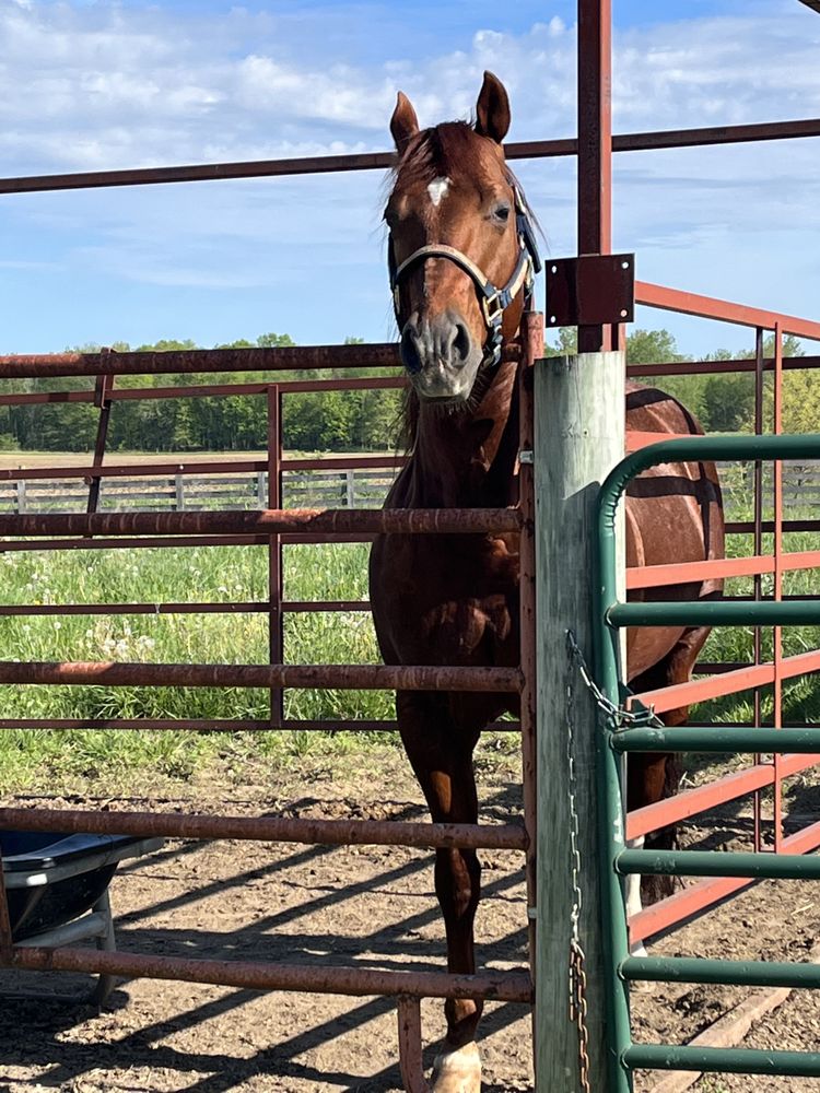 LAZY H RANCH - Updated February 2025 - Request Information - 15 Photos ...