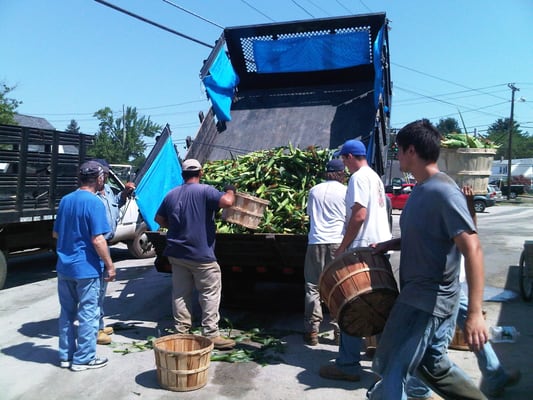 PETERS’ FARM - 13 Photos & 20 Reviews - 1 Cross St, Salem, New ...