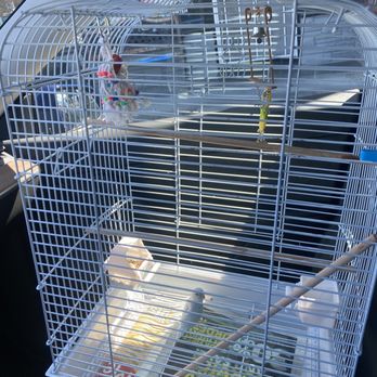 LOUIS BIRDS PETS AND SUPPLIES - Updated October 2024 - 76 Photos & 130 ...