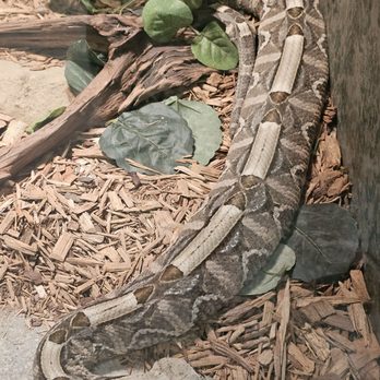 BEE CITY ZOO - Updated December 2024 - 387 Photos & 112 Reviews - 1066 ...