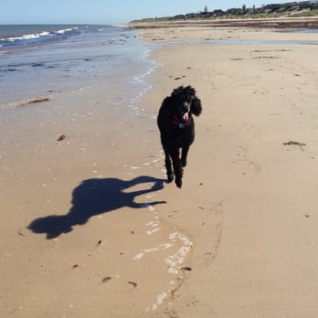 TENNYSON BEACH - Updated March 2026 - 15 Photos - Tennyson, Tennyson ...