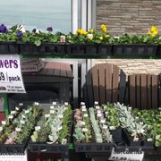 DUTCH BAKERY BULK FOOD STORE - 56 Photos & 28 Reviews - 709 US Highway ...