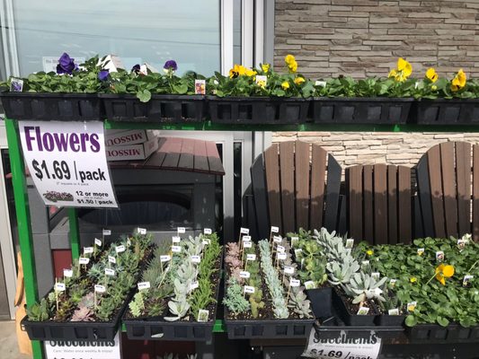 DUTCH BAKERY BULK FOOD STORE - Updated May 2026 - 63 Photos & 38 ...