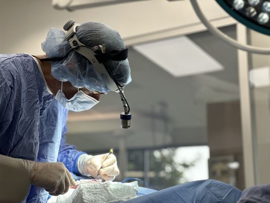 WESTERN VETERINARY CENTER - Updated December 2025 - 89 Photos & 92 ...