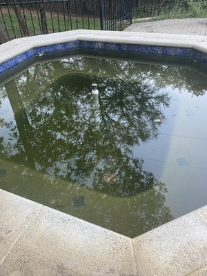 BLUE SCIENCE POOLS - Updated December 2025 - 40 Photos & 112 Reviews ...