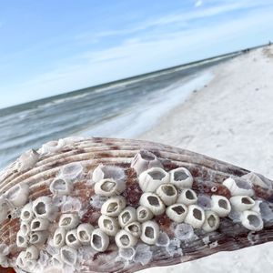 TIGERTAIL BEACH - Updated July 2025 - 404 Photos & 127 Reviews - 490 ...