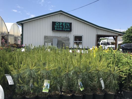 COUNTRY RODES GREENHOUSE - Updated May 2025 - 60 Photos - 5362 N Old US ...