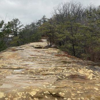 NATURAL BRIDGE STATE PARK - Updated December 2025 - 591 Photos & 80 ...