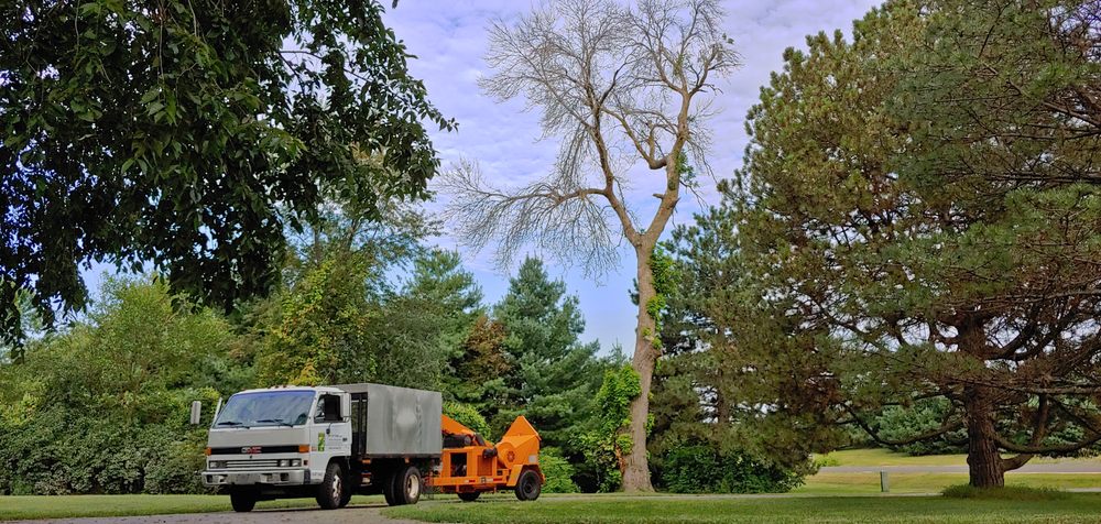 WI CUT TREES - Updated October 2025 - 517 W Mohawk Trl, DeForest ...