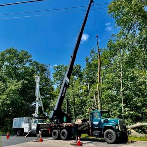 STANLEY TREE SERVICE - Updated October 2025 - 16 Photos & 59 Reviews ...