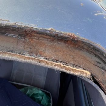 COAST AUTO GLASS - Updated November 2024 - 37 Photos & 463 Reviews ...