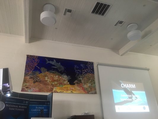 FLOWER GARDEN BANKS NATIONAL MARINE SANCTUARY - Updated July 2025 ... FLOWER GARDEN BANKS NATIONAL MARINE SANCTUARY - Updated July 2025 ...