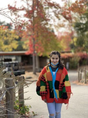 DON CASTRO REGIONAL RECREATION AREA - Updated October 2024 - 382 Photos ...