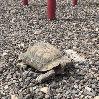 MEADVIEW RV PARK & COZY CABINS - Updated December 2025 - 43 Photos & 23 ...