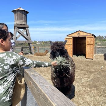 FOX POINT FARMS - Updated May 2025 - 324 Photos & 116 Reviews - 1150 ...