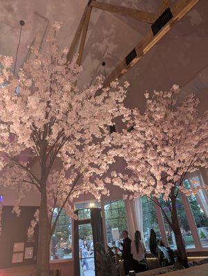 SENSO - Updated December 2025 - 46 Photos & 36 Reviews - 3 N White St ...