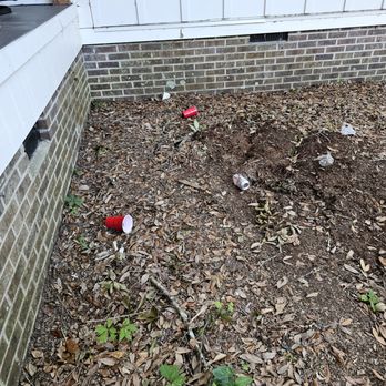 MARIO TREE CREW SERVICE - Updated December 2025 - 17 Photos - Myrtle ...