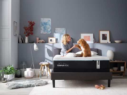 Mattress superstore factory outlet store