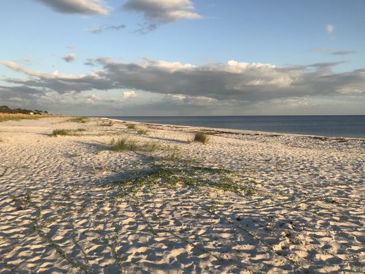 ALLIGATOR POINT - 73 Photos & 13 Reviews - 1389 Alligator Dr, Panacea ...