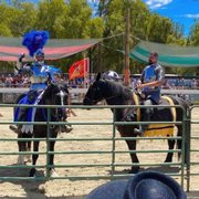 THE ORIGINAL RENAISSANCE PLEASURE FAIRE - 2249 Photos & 388 Reviews ...