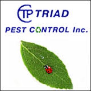 BUG OUT - Updated December 2025 - 33 Photos & 36 Reviews - 3650 ...