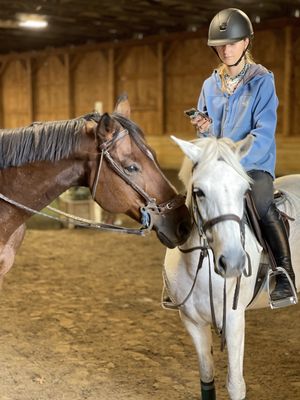THE RIDGE EQUESTRIAN CENTER - Updated June 2026 - 20 Photos - Newtown ...