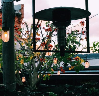 ROSEMOUNT HOTEL - Updated June 2025 - 26 Photos & 38 Reviews - 459 ...