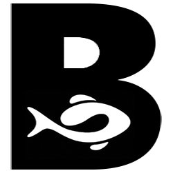 BOLDFISH DIGITAL - Updated May 2024 - Request Consultation - 320 1st St ...